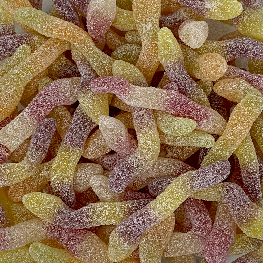 Fizzy Jelly Snakes – The Gourmet Sweet Company