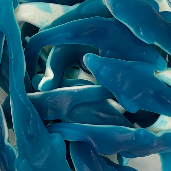 Giant Dolphins – The Gourmet Sweet Company