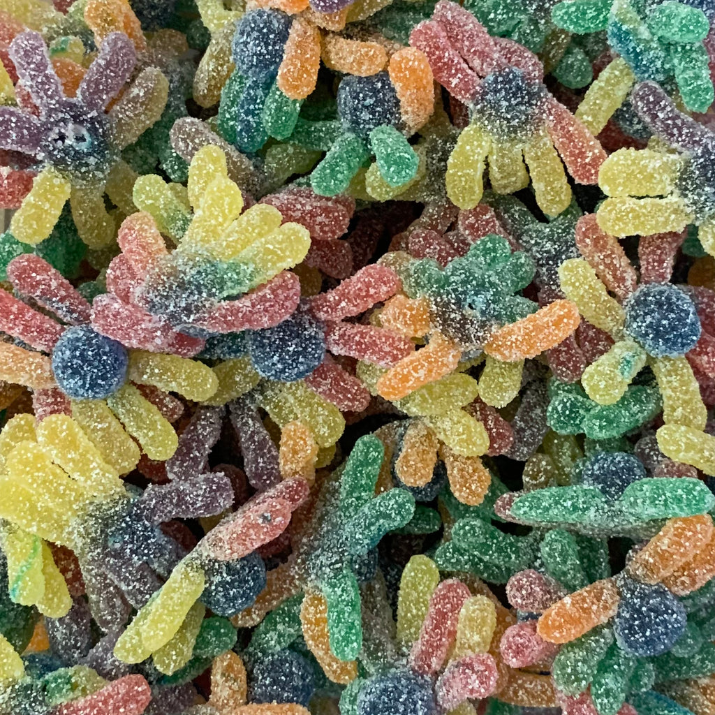 Sour Octopus – The Gourmet Sweet Company